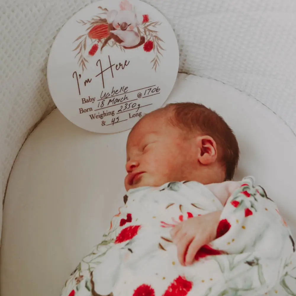 Birth Plaques Announcement & Milestone Disc – Zebra Babies